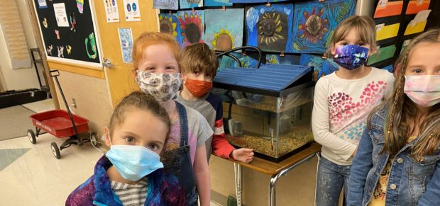 Delivering Schools of Salmon - The National Wildlife Federation Blog
