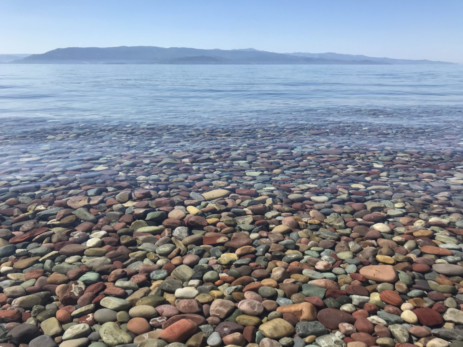 FLATHEAD LAKE: THE STORY OF A FISH, A SHRIMP, AND A BAD CASE OF HUBRIS ...