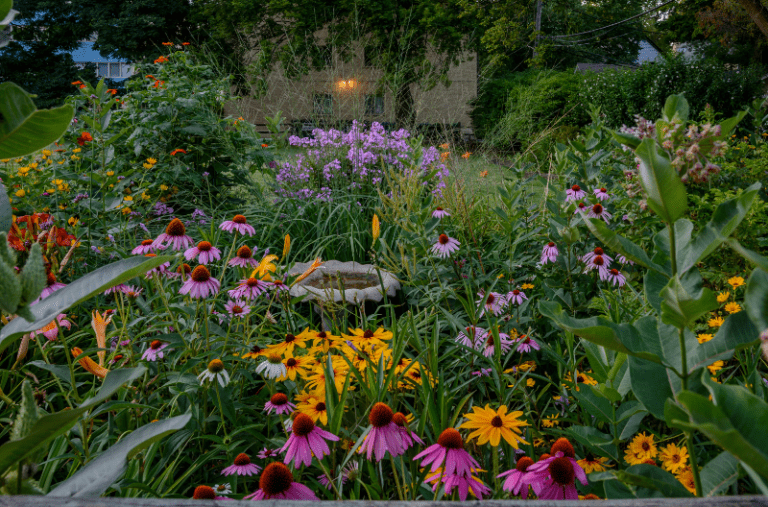 The Life of a Solitary Bee - The National Wildlife Federation Blog