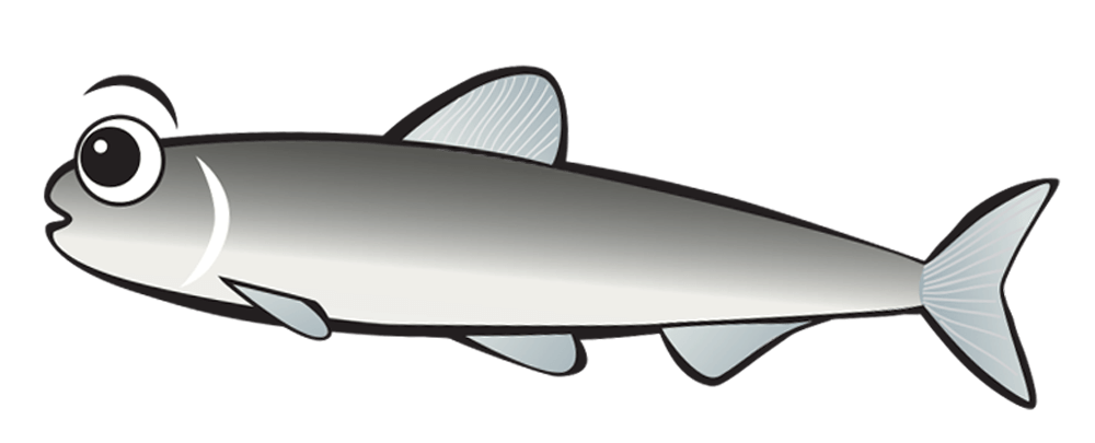 Little Larry Swims: Whoop Whoop! Living the Anadromous Life - The ...