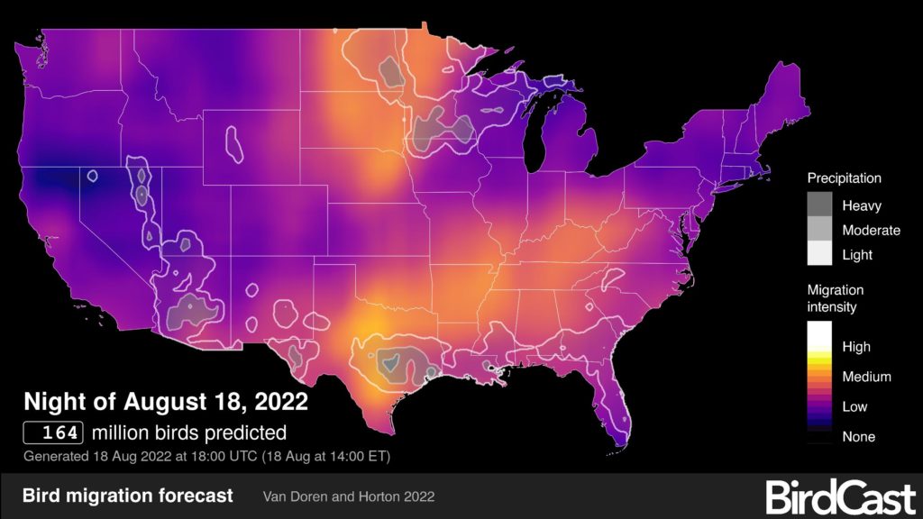 How Do We Know Anything About Migrating Birds? - The National Wildlife ...