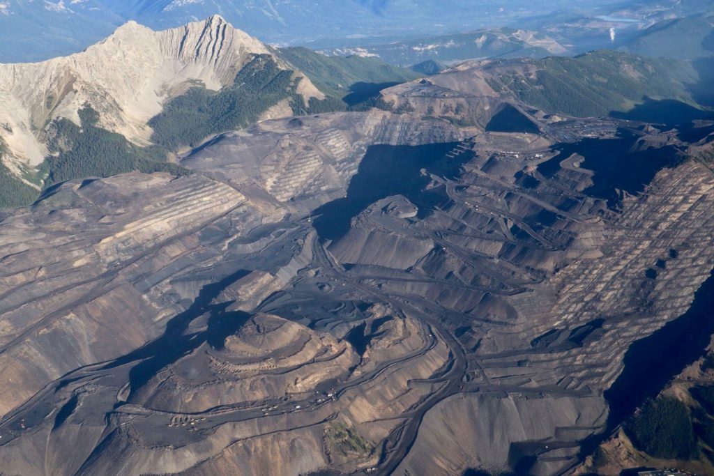 Q & A: An Interview with Erin Sexton - The National Wildlife Federation ...