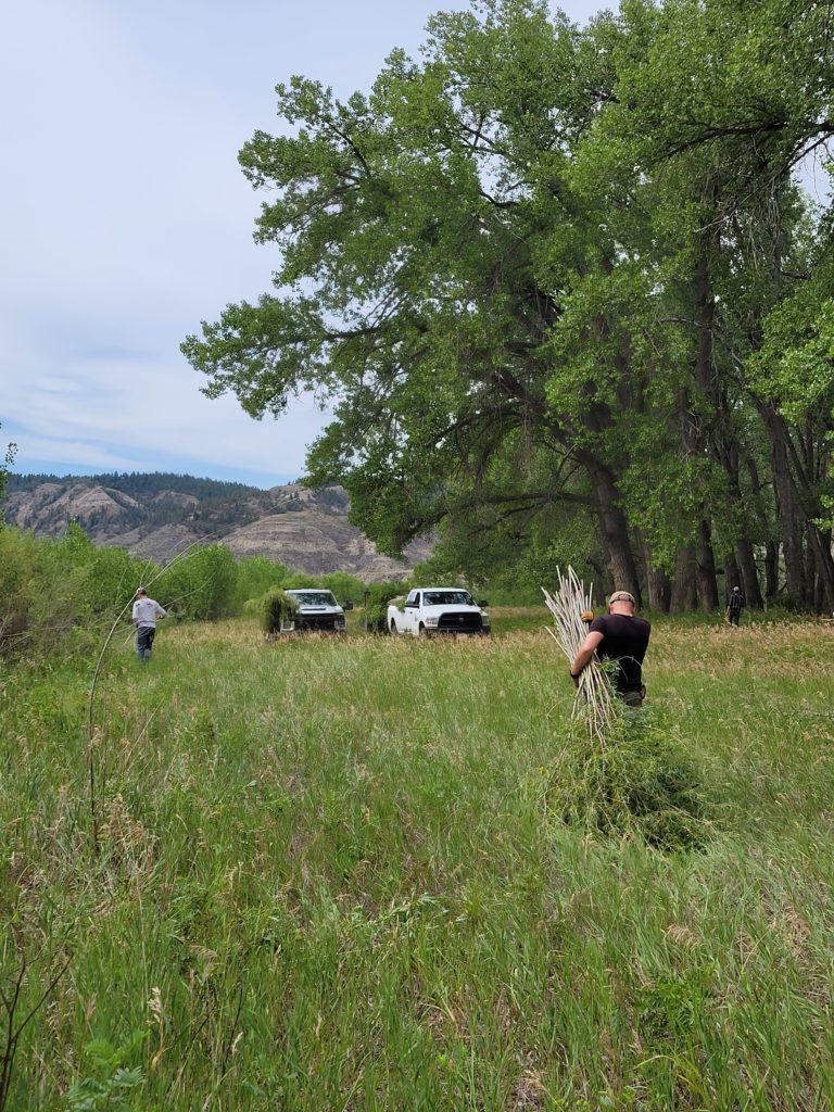 Conservation Work Benefits from Many Hands - The National Wildlife ...