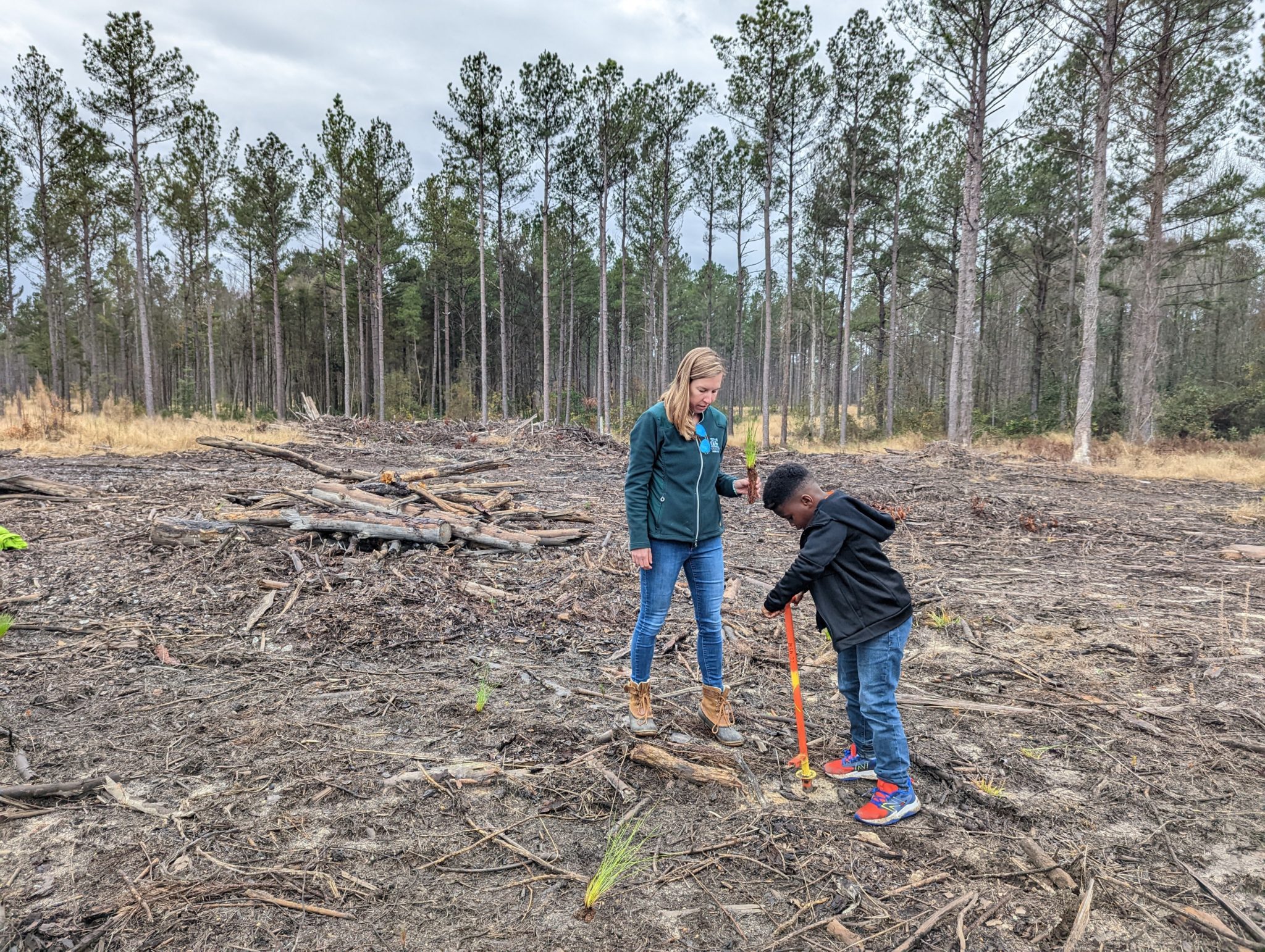 North Carolina’s Youth Plant Over 500 Longleaf Pine Trees at the Hoke ...