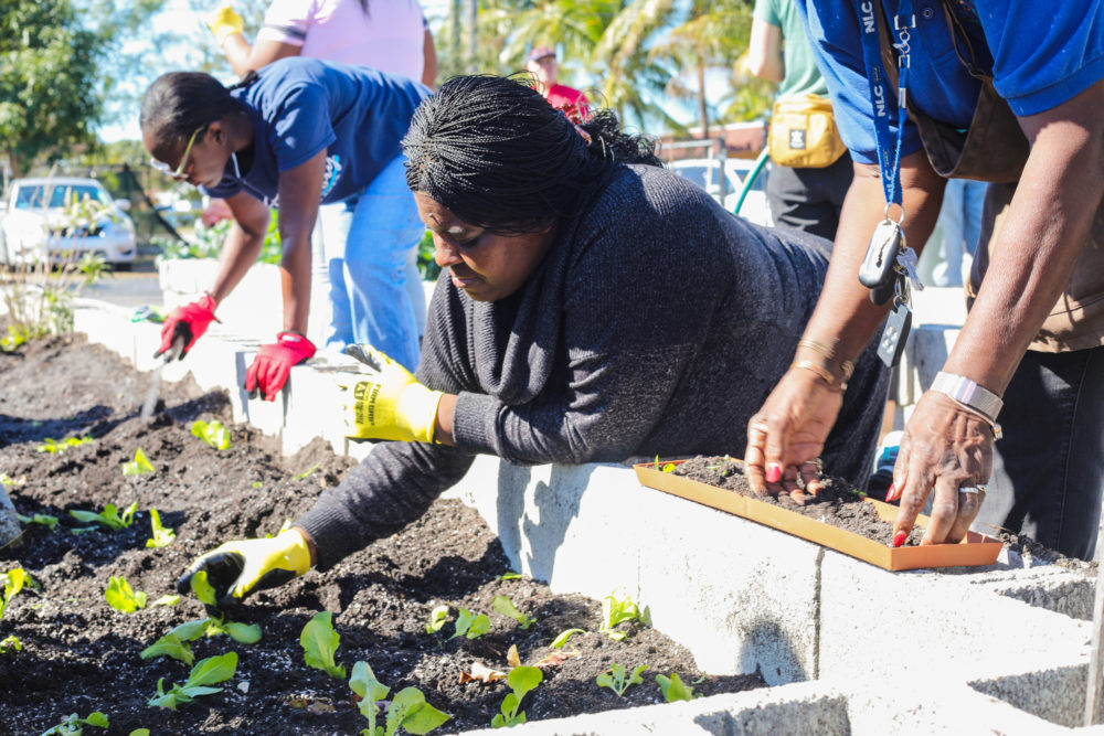 MLK Day 2023: NWF Education Team Plants Seeds of Service - The National Wildlife Federation Blog
