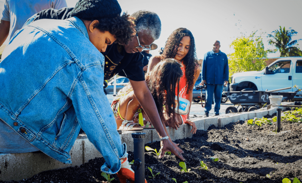 MLK Day 2023: NWF Education Team Plants Seeds of Service - The National Wildlife Federation Blog