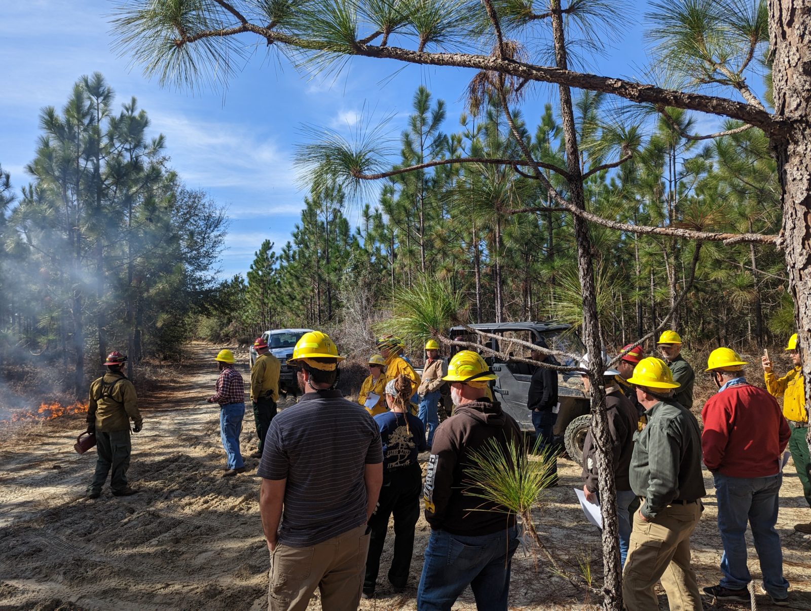 Prescribed Fire Field Day Highlights Healthy Forest Management ...