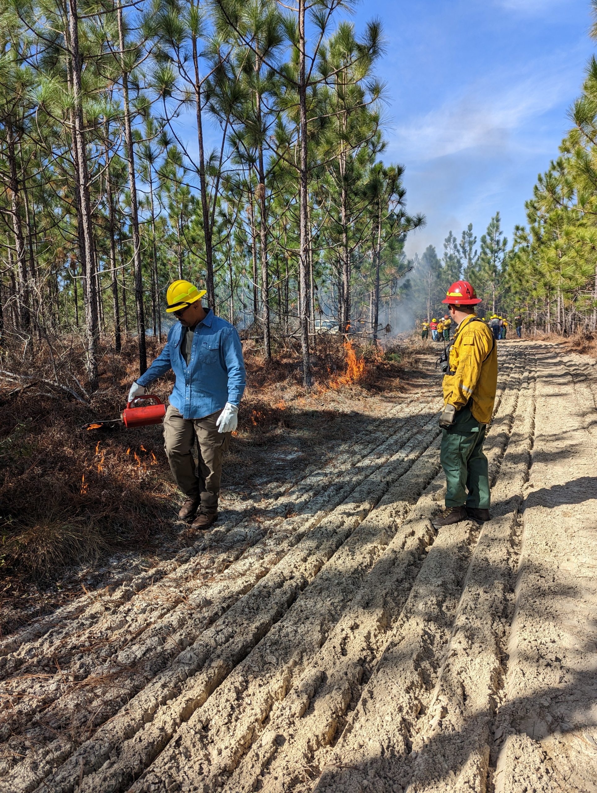 Prescribed Fire Field Day Highlights Healthy Forest Management ...