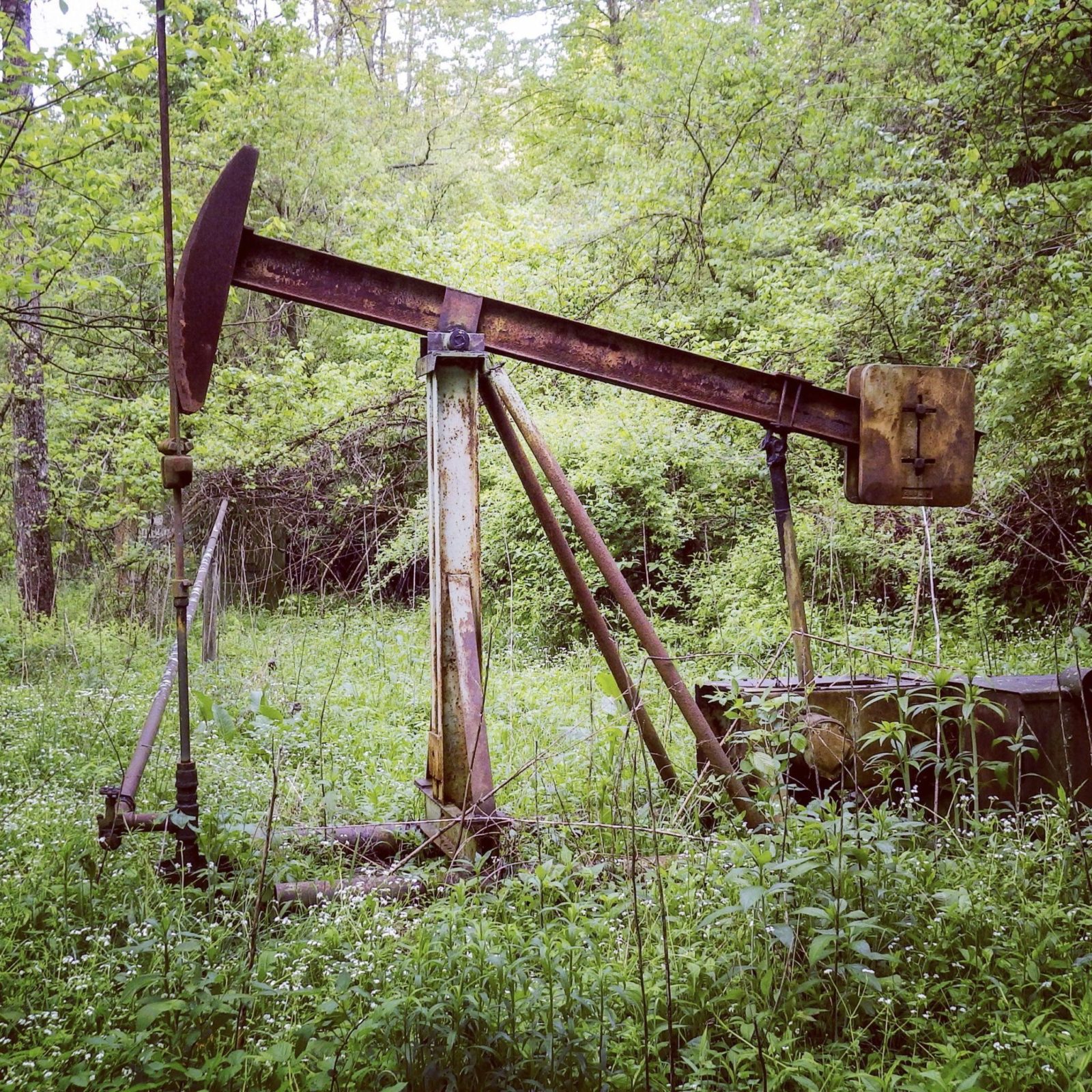 The State of the Public Lands: Five Issues to Watch in the Coming Year ...