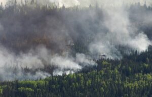 How Does Wildfire Smoke Affect Wildlife? - The National Wildlife ...