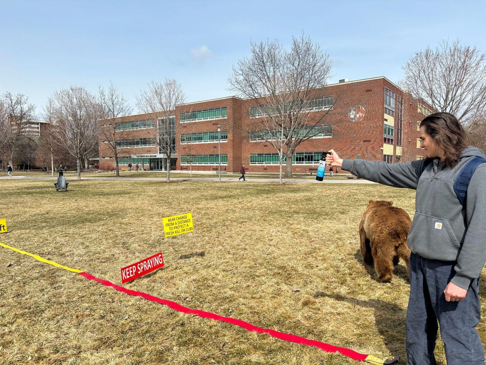 Bear Necessities: How to Stay Safe in Bear Country - The National ...