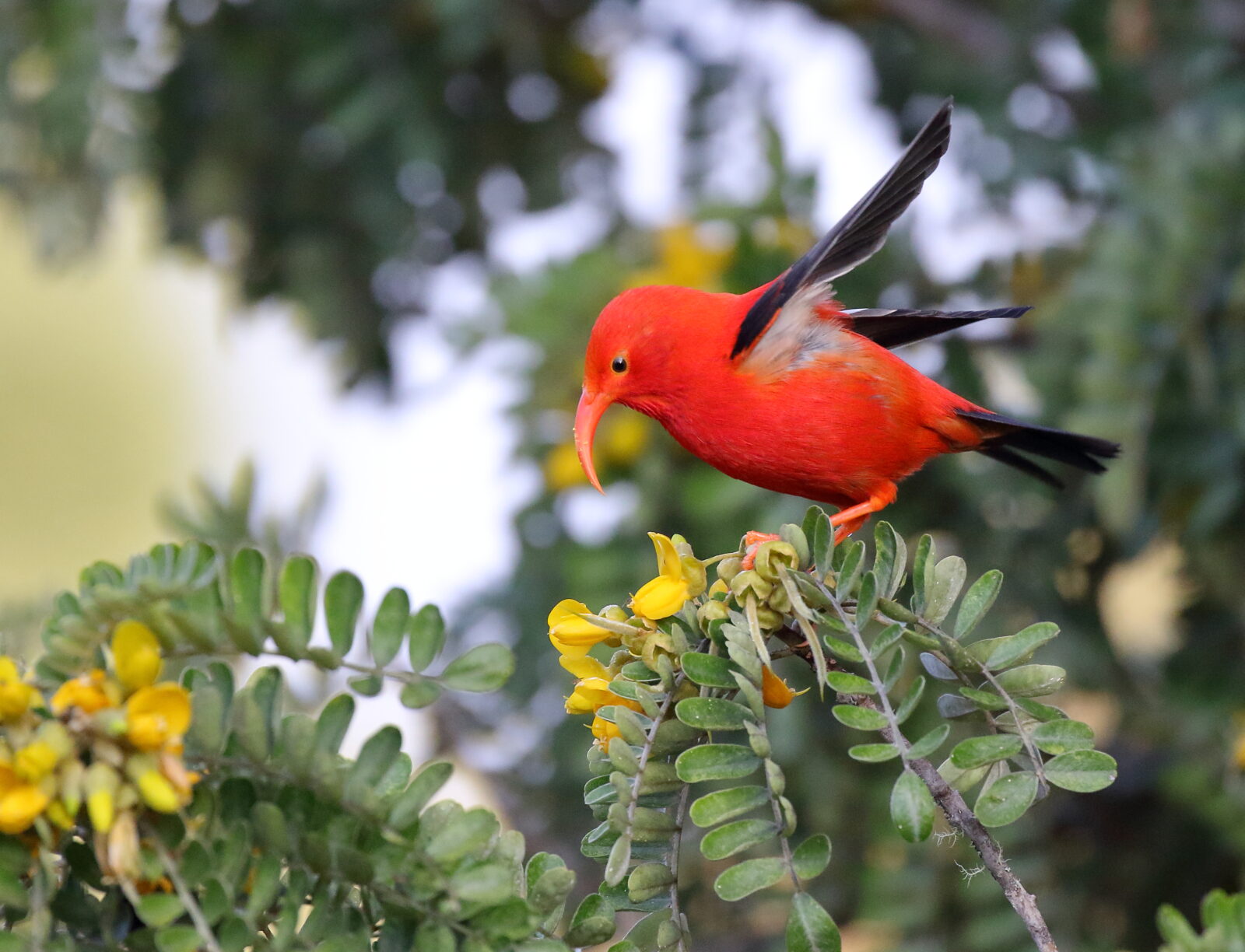 Native American Heritage is More Than Just a Month - The National ...