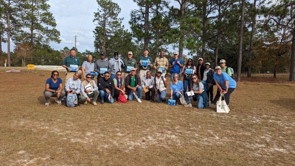 Longleaf for All - The National Wildlife Federation Blog