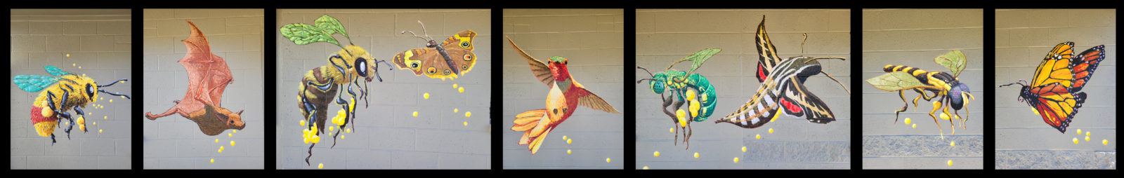 Diversity in Nature, Diversity in Action - The National Wildlife ...