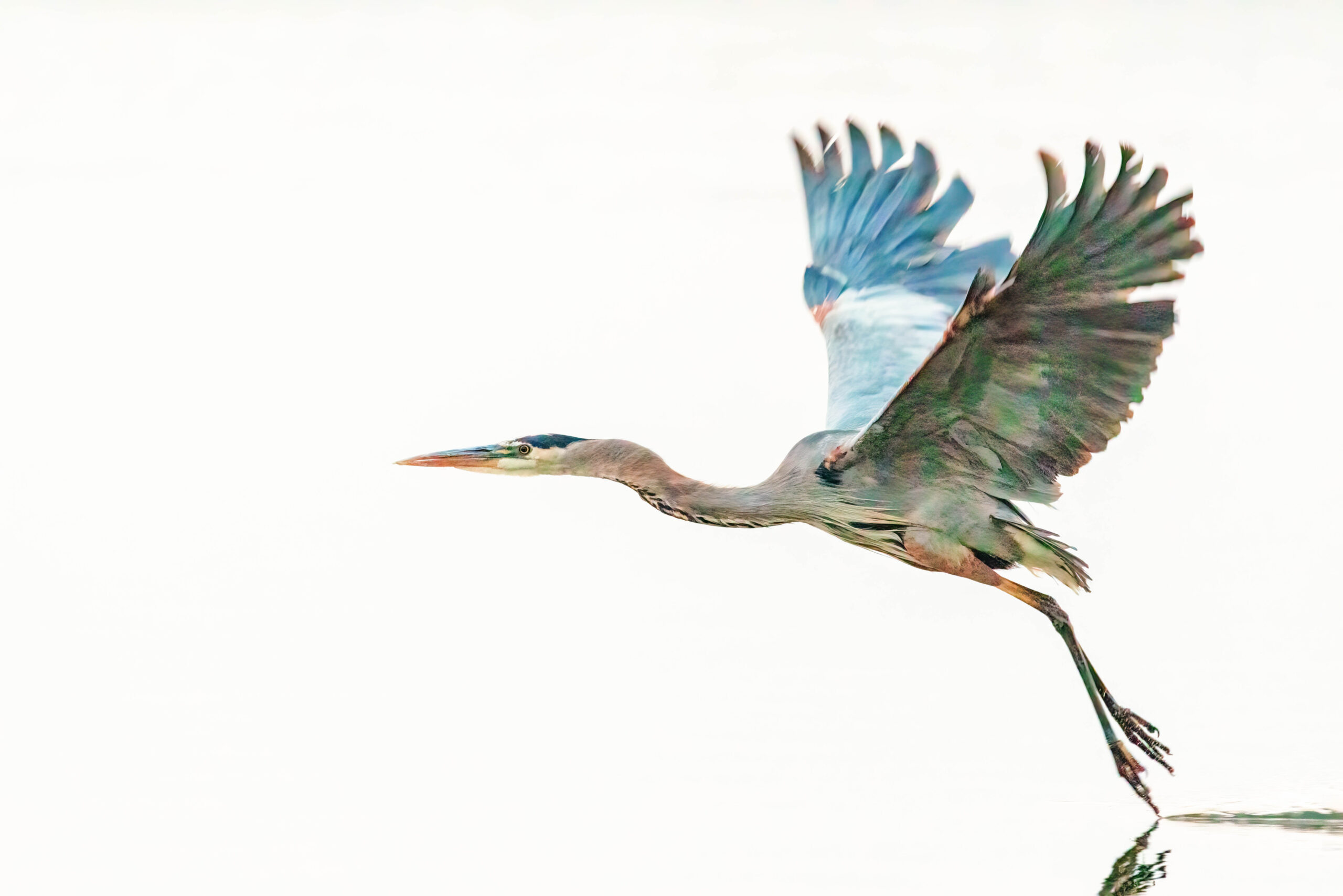 Healthy Great Lakes, Communities, and Wildlife - The National Wildlife ...