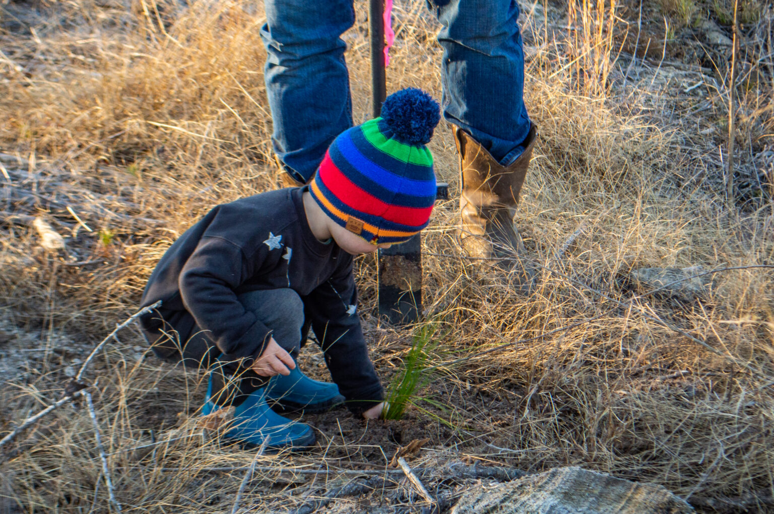 Conservation Archives - The National Wildlife Federation Blog