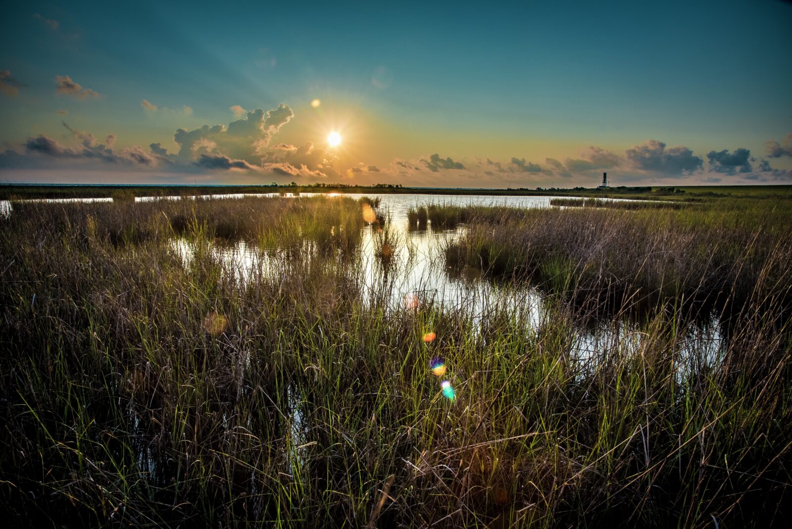 Resilient Galveston Island - The National Wildlife Federation Blog