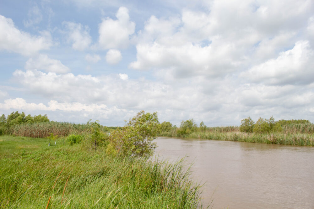 Why is Carbon Management Relevant to Louisiana? - The National Wildlife ...