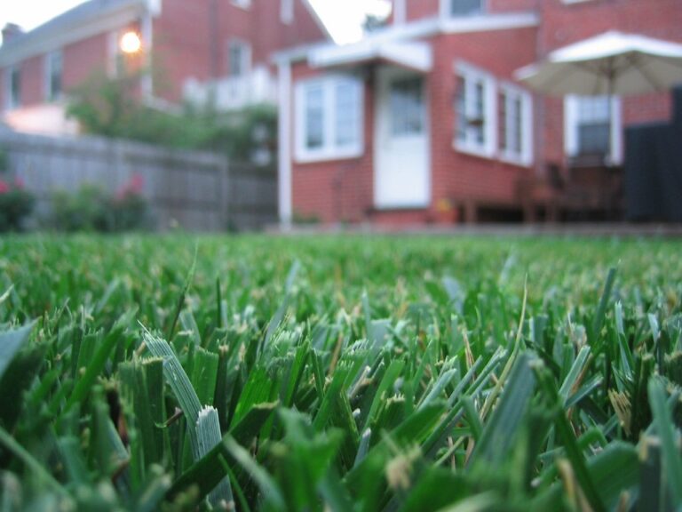 Dangers of Lawn Chemicals: Impacts and Alternatives - The National ...