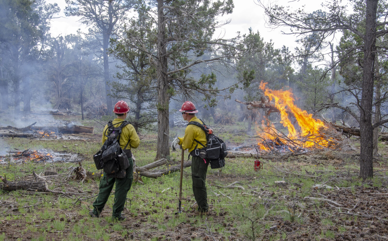 The Power of Prescribed Burning: A Practice That Unites Us All - The ...