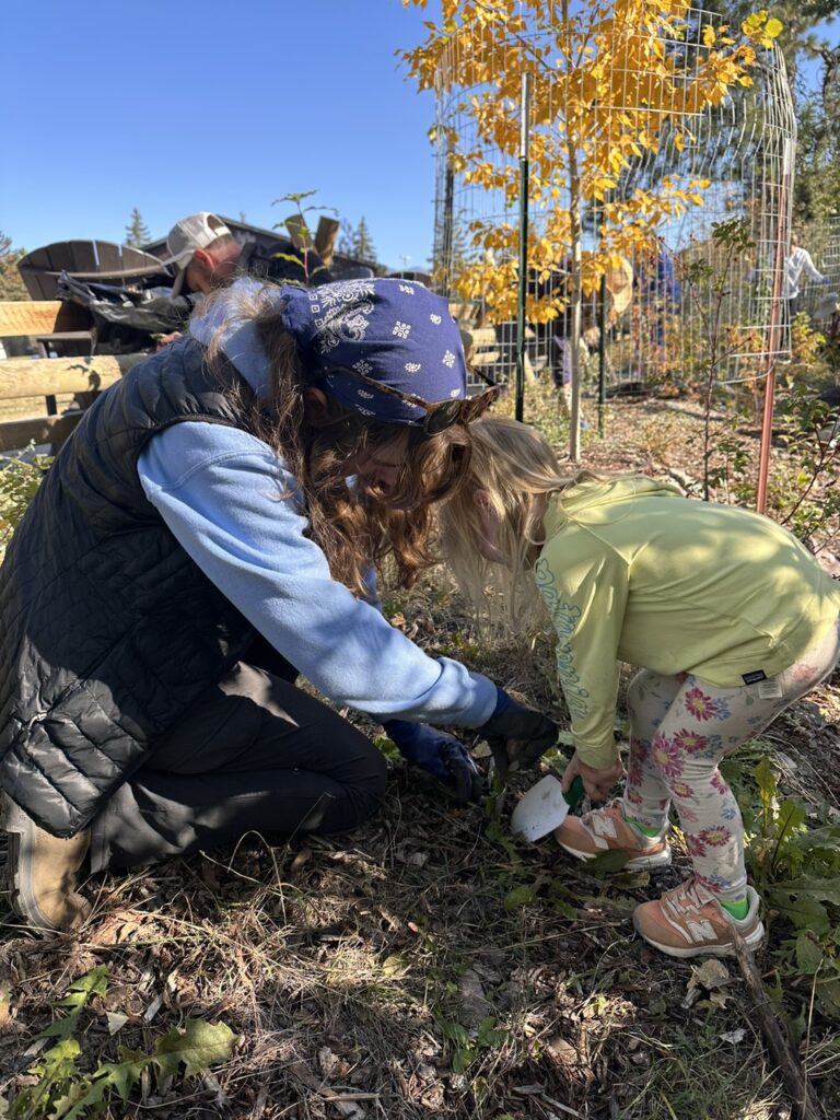 Things That Go Bump—or Hoot—in the Night: 5 Animals You May Hear While ...