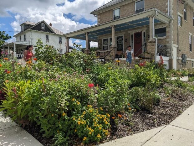 Pollinators & Produce: Pollinator Habitats and Food Security in ...