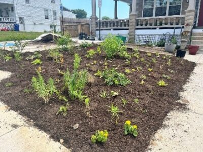 Pollinators & Produce: Pollinator Habitats and Food Security in ...