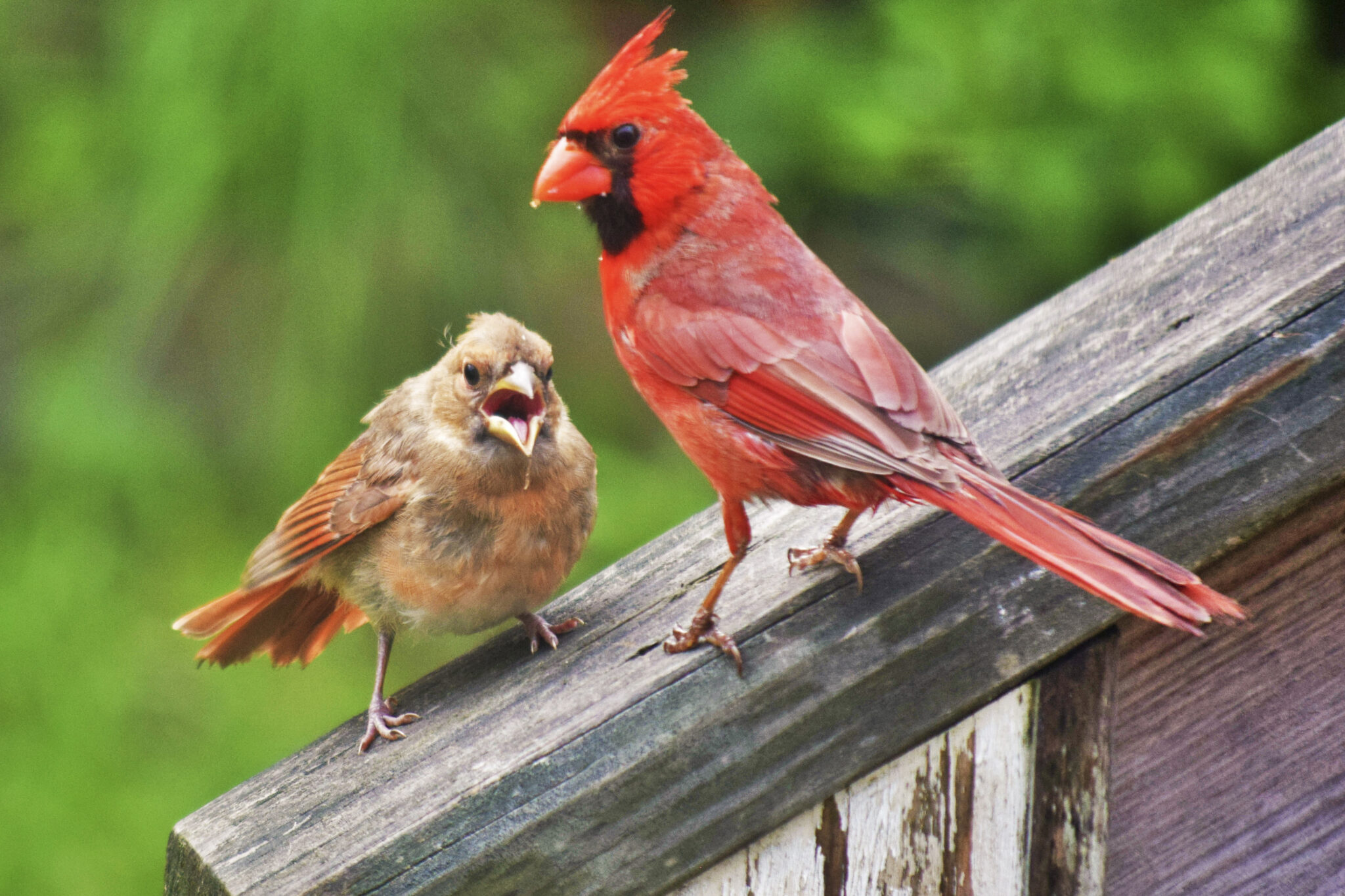 Intergenerational Solidarity Ignites Lasting Change - The National ...