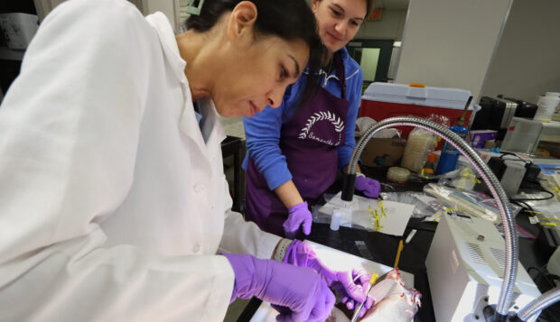 Women in Science: Pioneers and Protectors - The National Wildlife ...