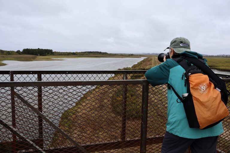 Discovering Coastal Resilience in the Great Marsh - The National ...