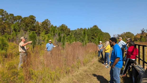Sowing the Seeds of Knowledge: A Longleaf For All Field Day Recap - The ...