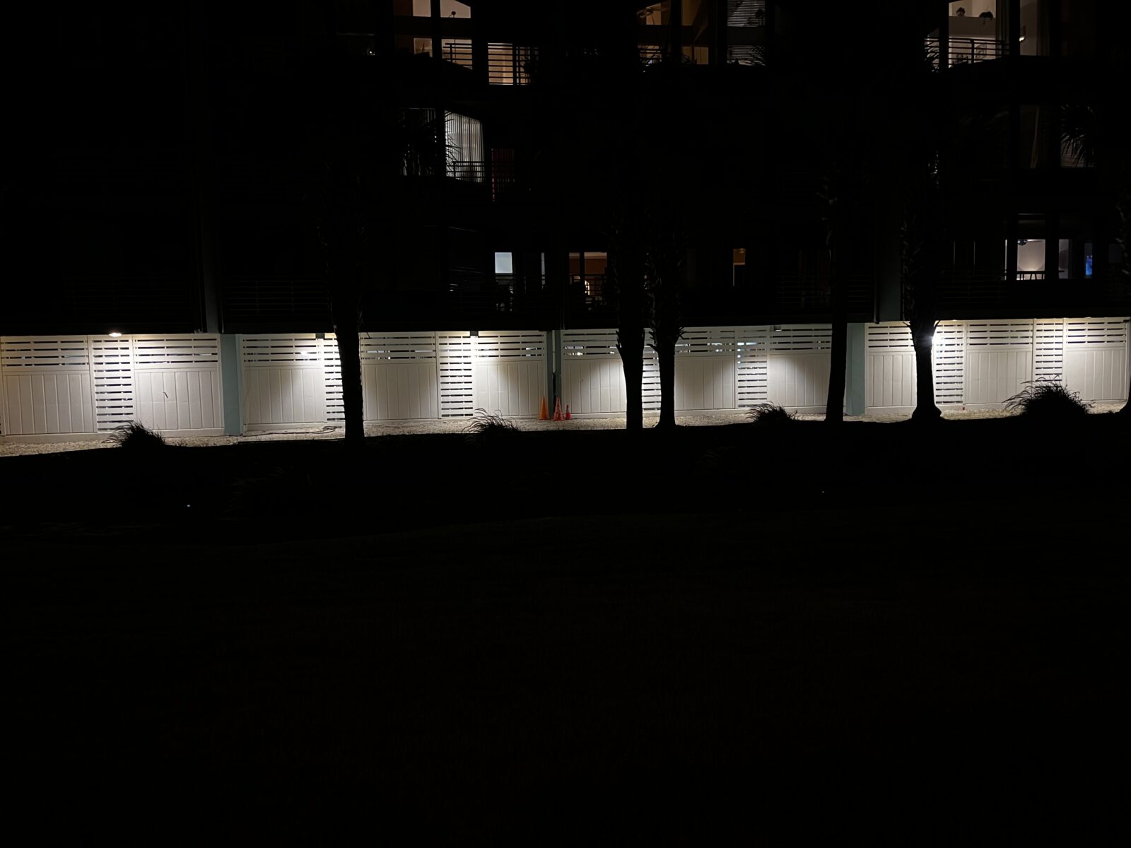 Hope for Sea Turtles Amid Wildlife-friendly Lighting Ordinances - The ...