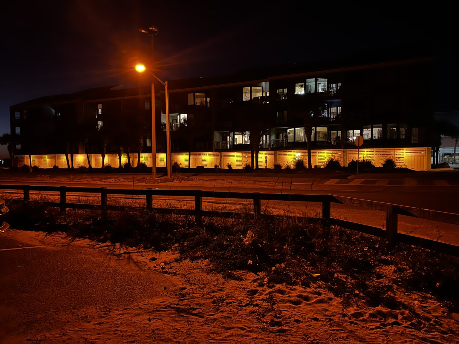 Hope for Sea Turtles Amid Wildlife-friendly Lighting Ordinances - The ...