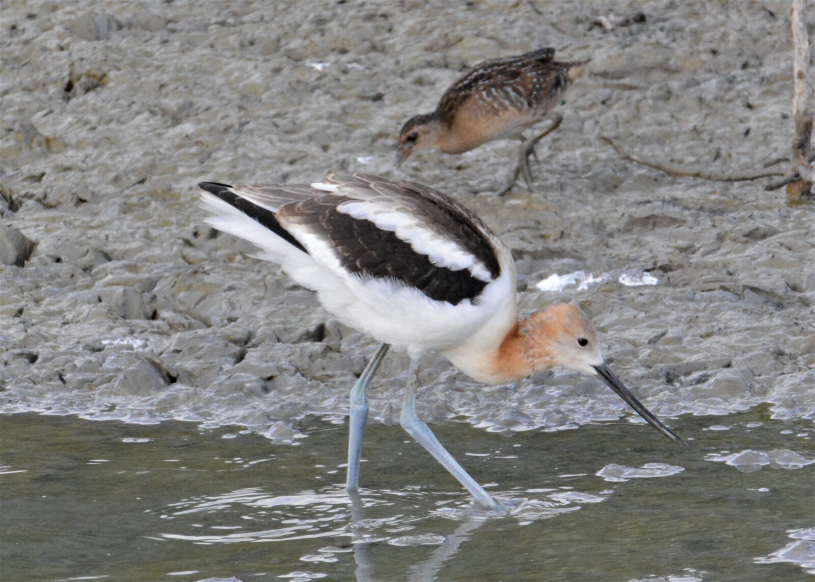 Ten National Wildlife Refuges That Need Our Support Most - The National ...