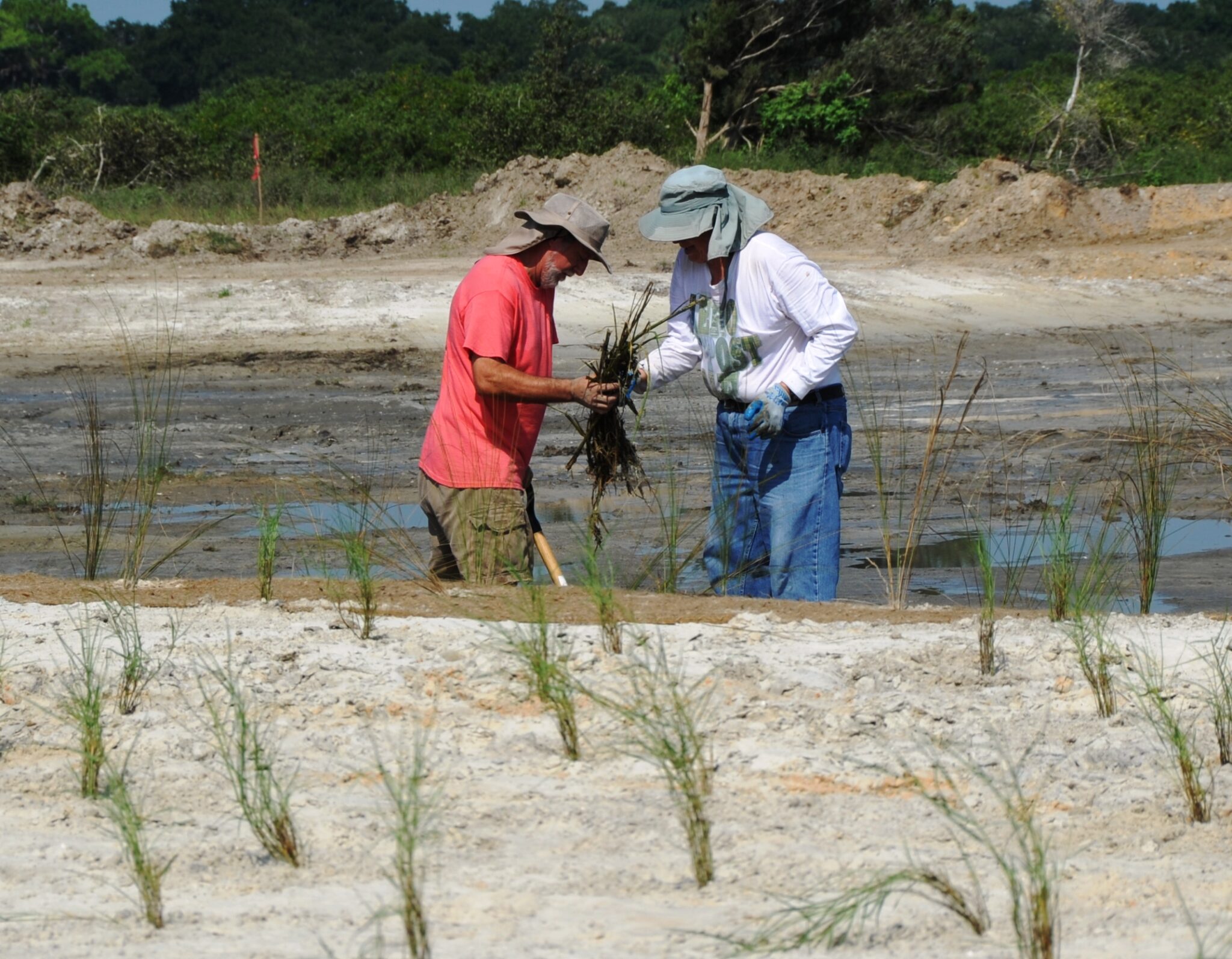Protecting the Red Wolf: The Most Endangered Wolf in the World - The ...