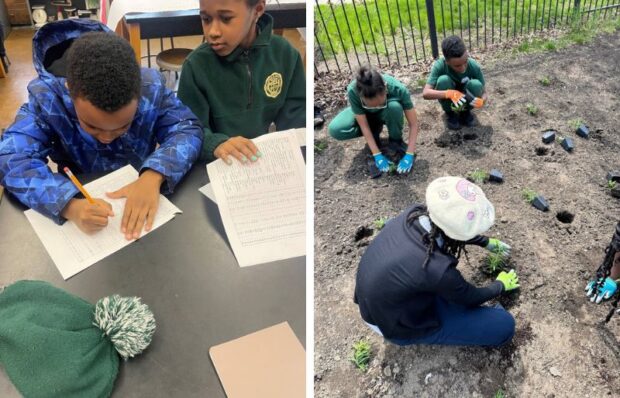 Eco-Green Celebrates Twenty Schools Working Their Way Towards Green ...