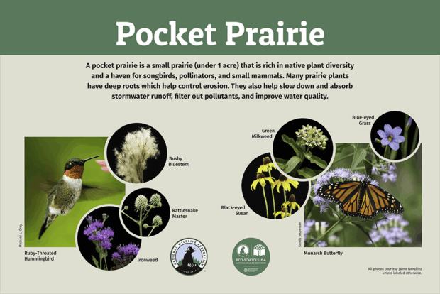 Community Spotlight: A Pocket Prairie for Channelview, TX - The ...