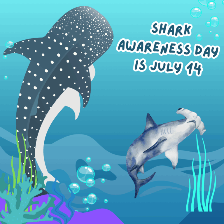 QUIZ: Sharks! The Amazing Creatures That Are Older Than Dinosaurs - The ...