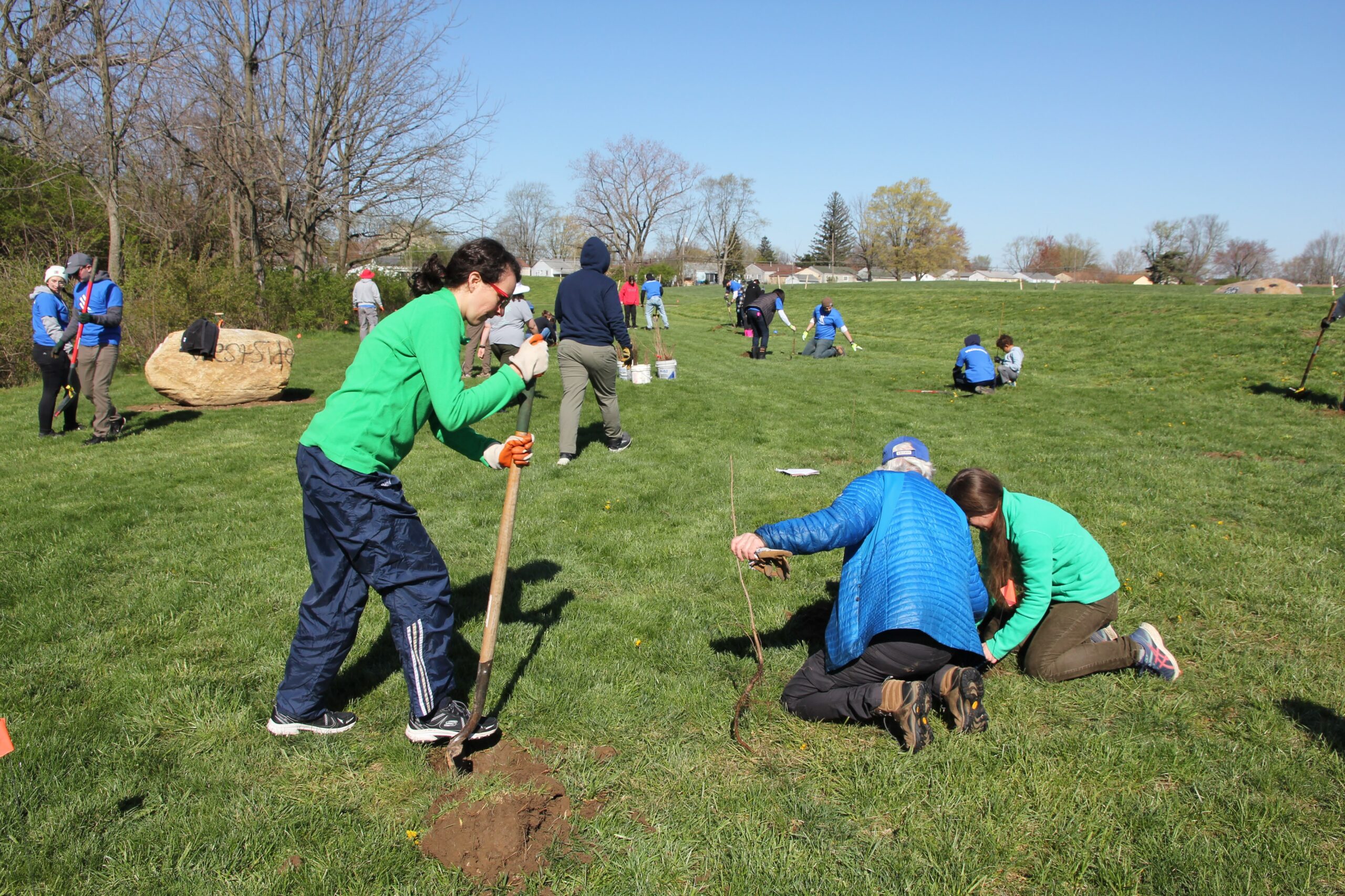 Having Our Trees and Planting Them Too - The National Wildlife ...