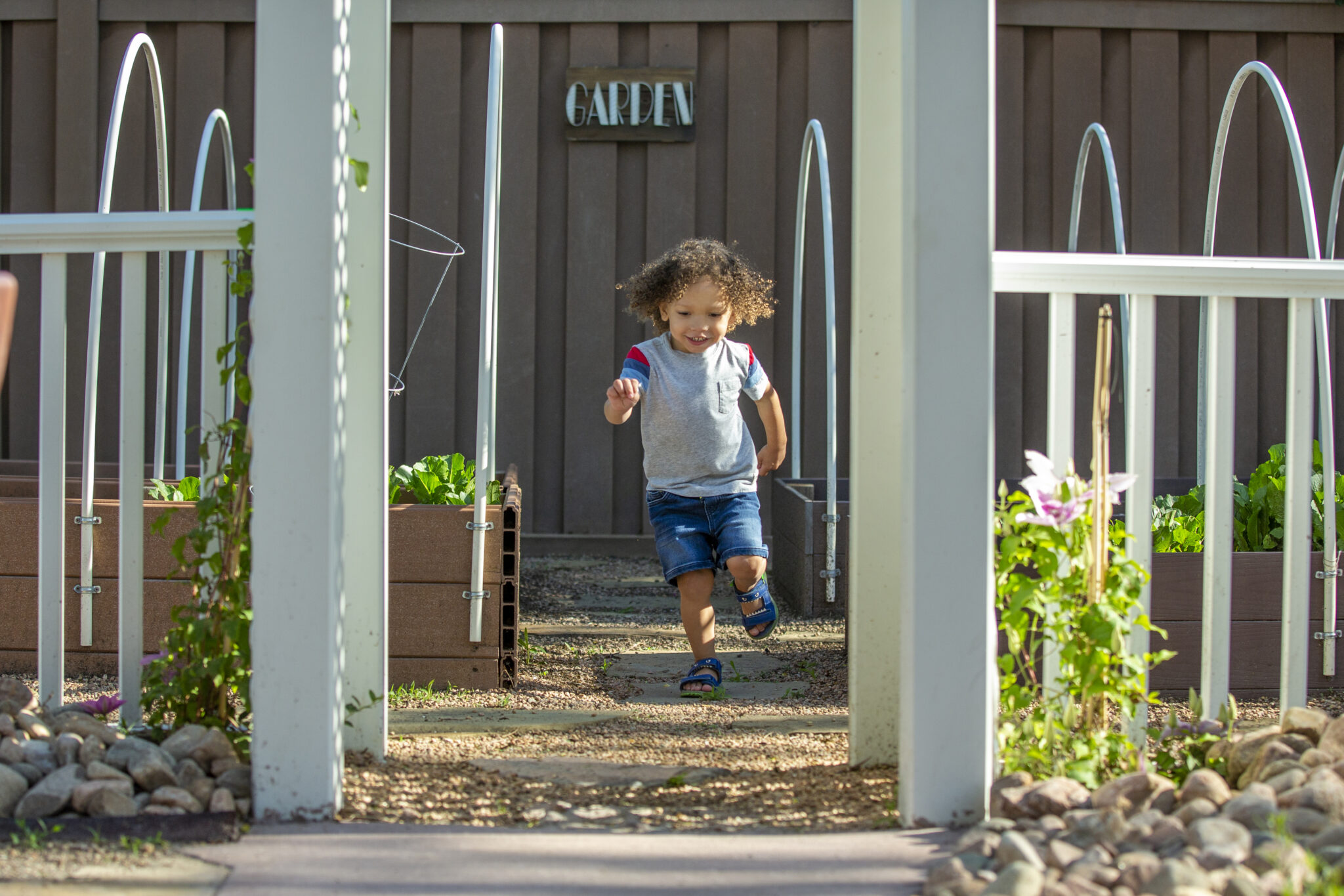 Protecting the Red Wolf: The Most Endangered Wolf in the World - The ...