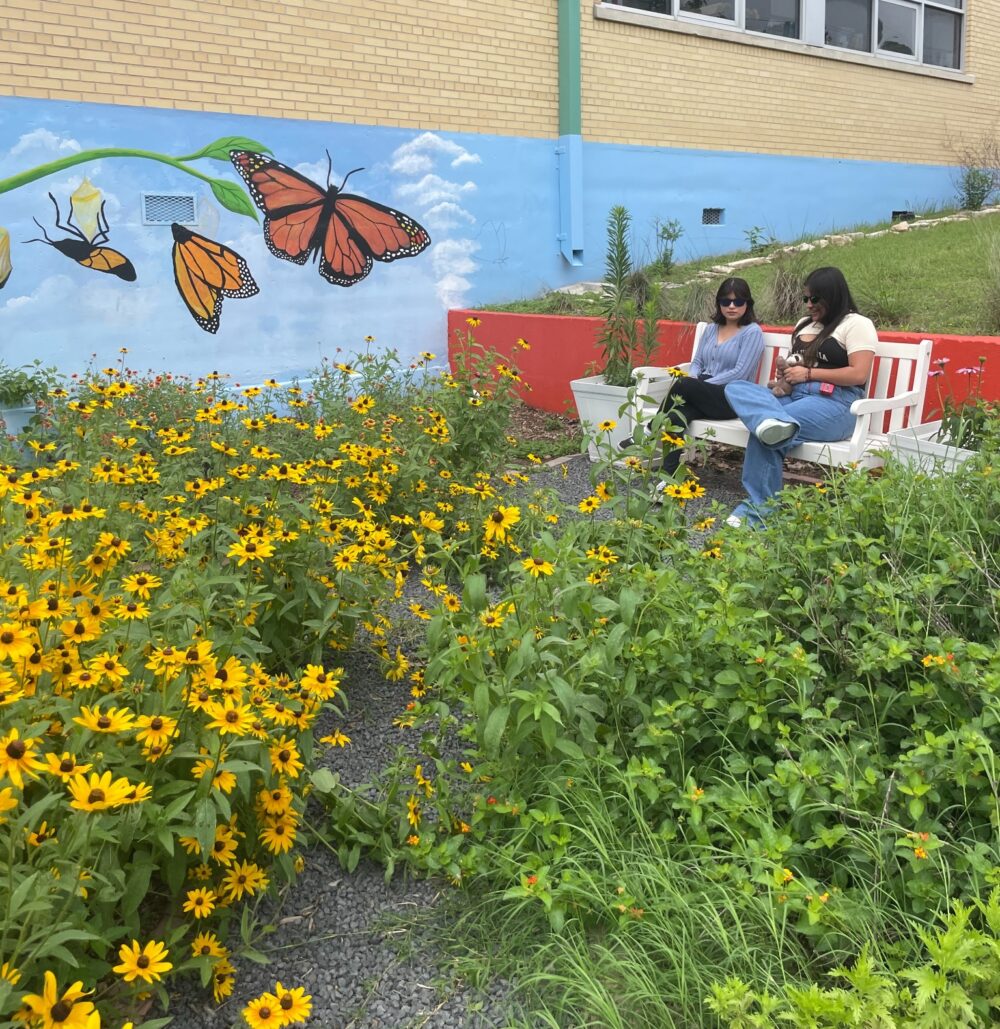 Monarch Heroes: Celebrating 10 Years of Wonder, Curiosity, and ...