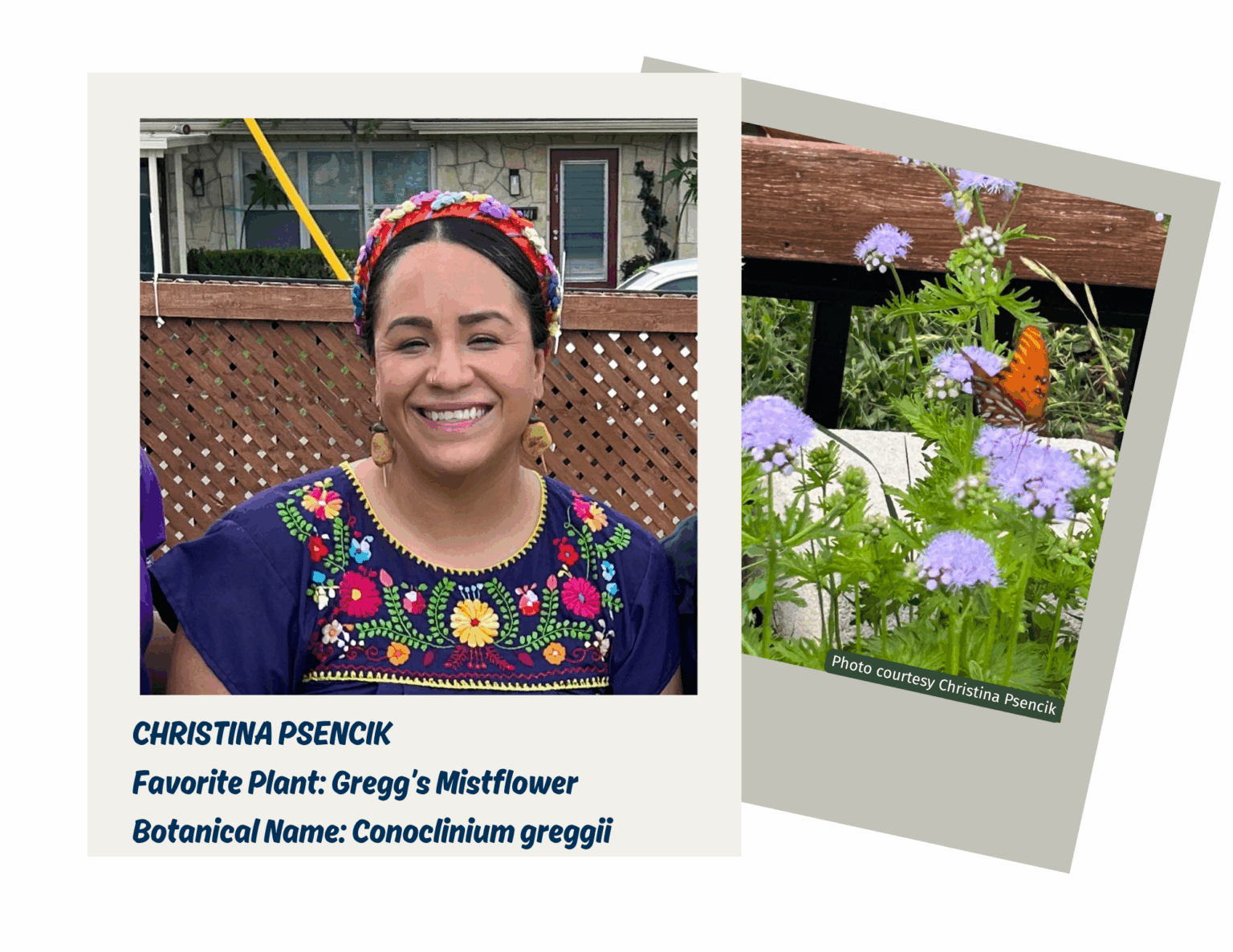 Understanding the Benefits of Prescribed Fire - The National Wildlife Federation Blog