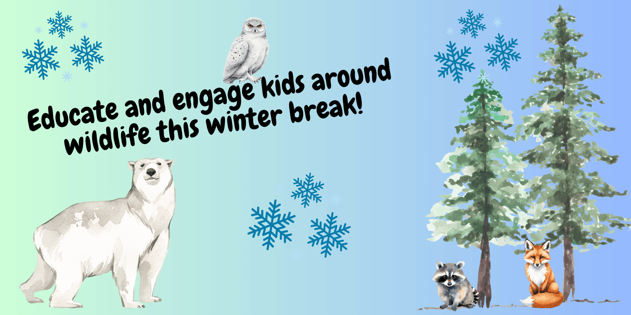 Bringing Back the Boreal Toad to Utah’s Backcountry - The National ...