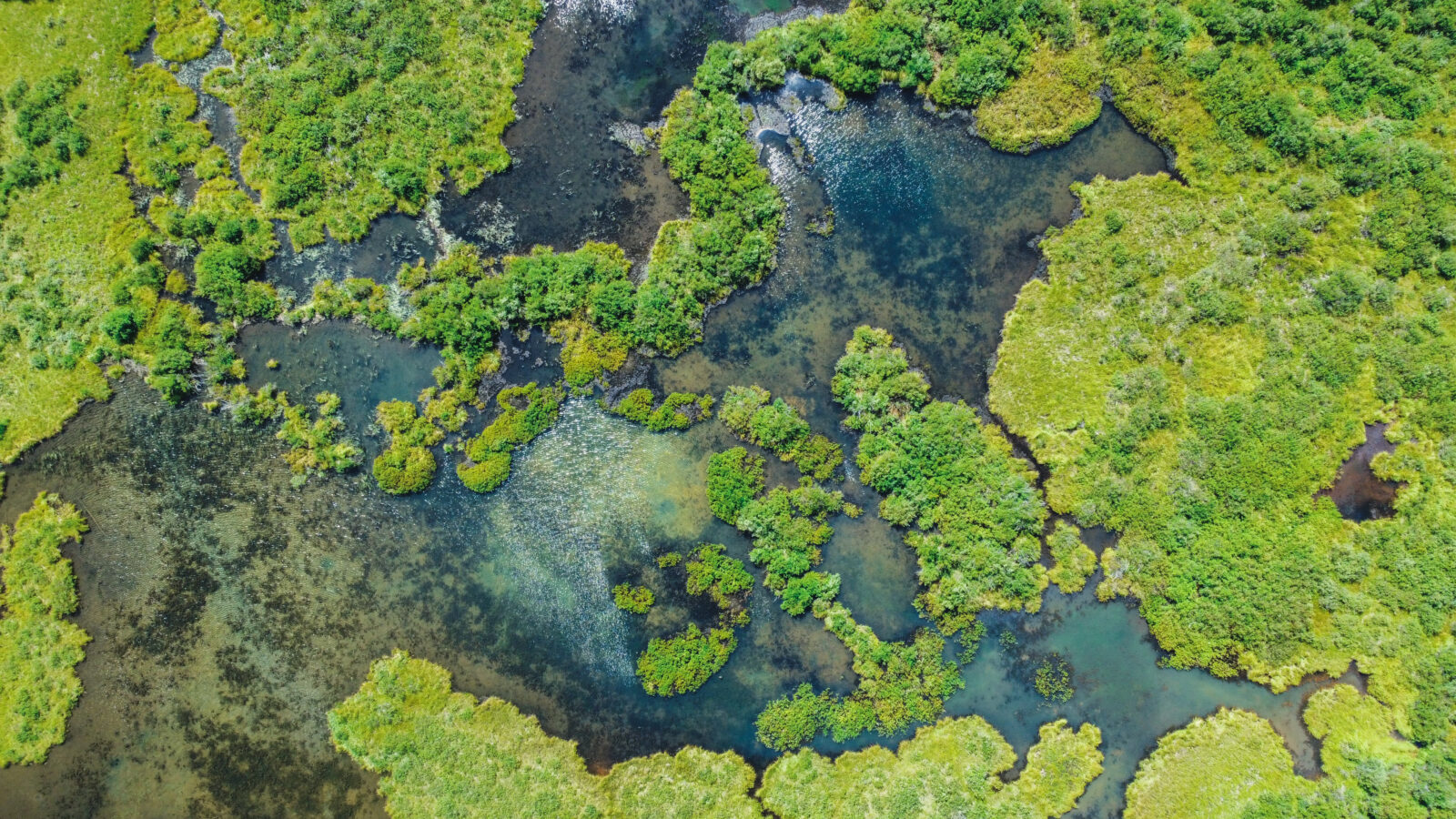 Tanner Clegg Archives - The National Wildlife Federation Blog