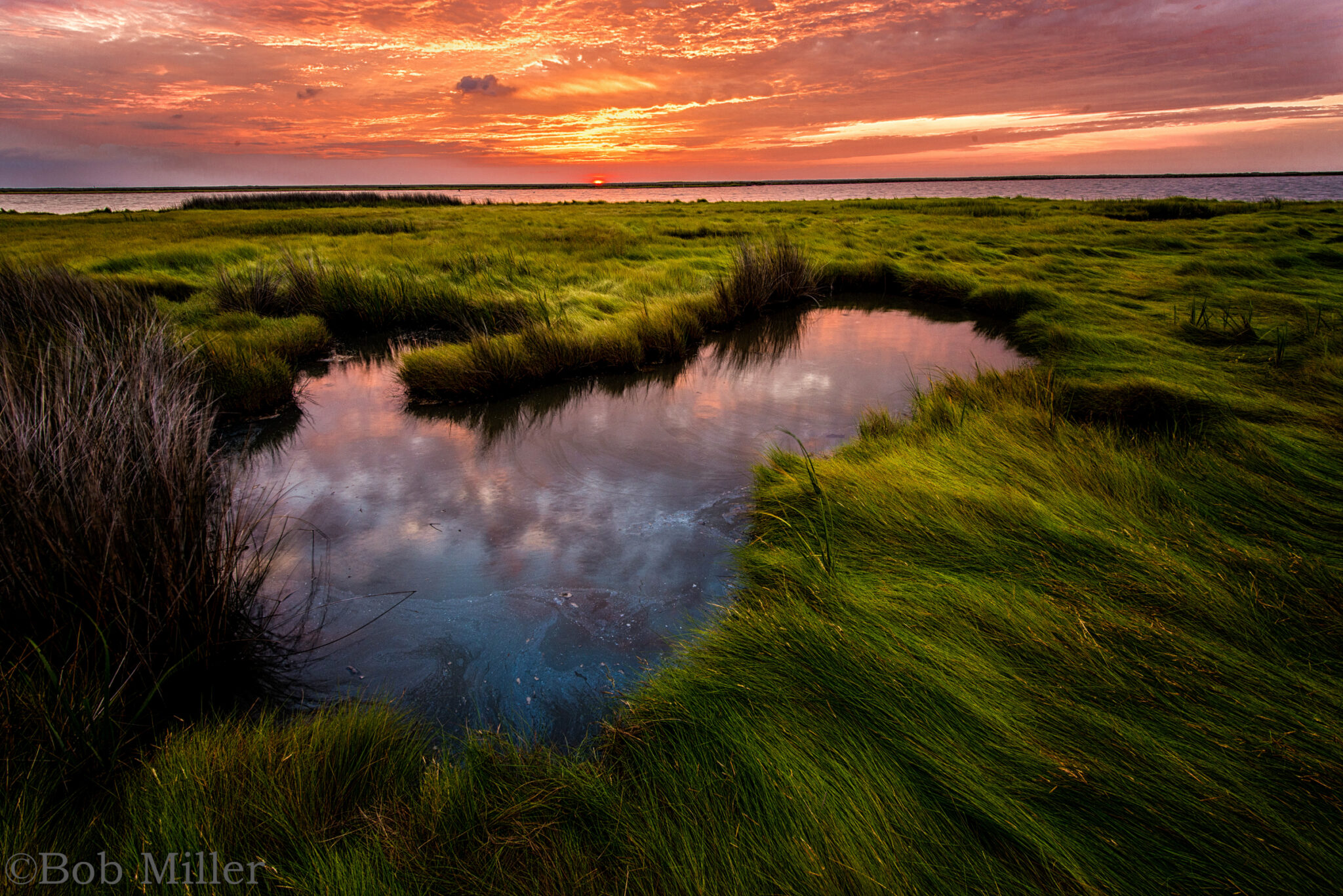 How Fish Are Being Affected by Climate Change - The National Wildlife ...
