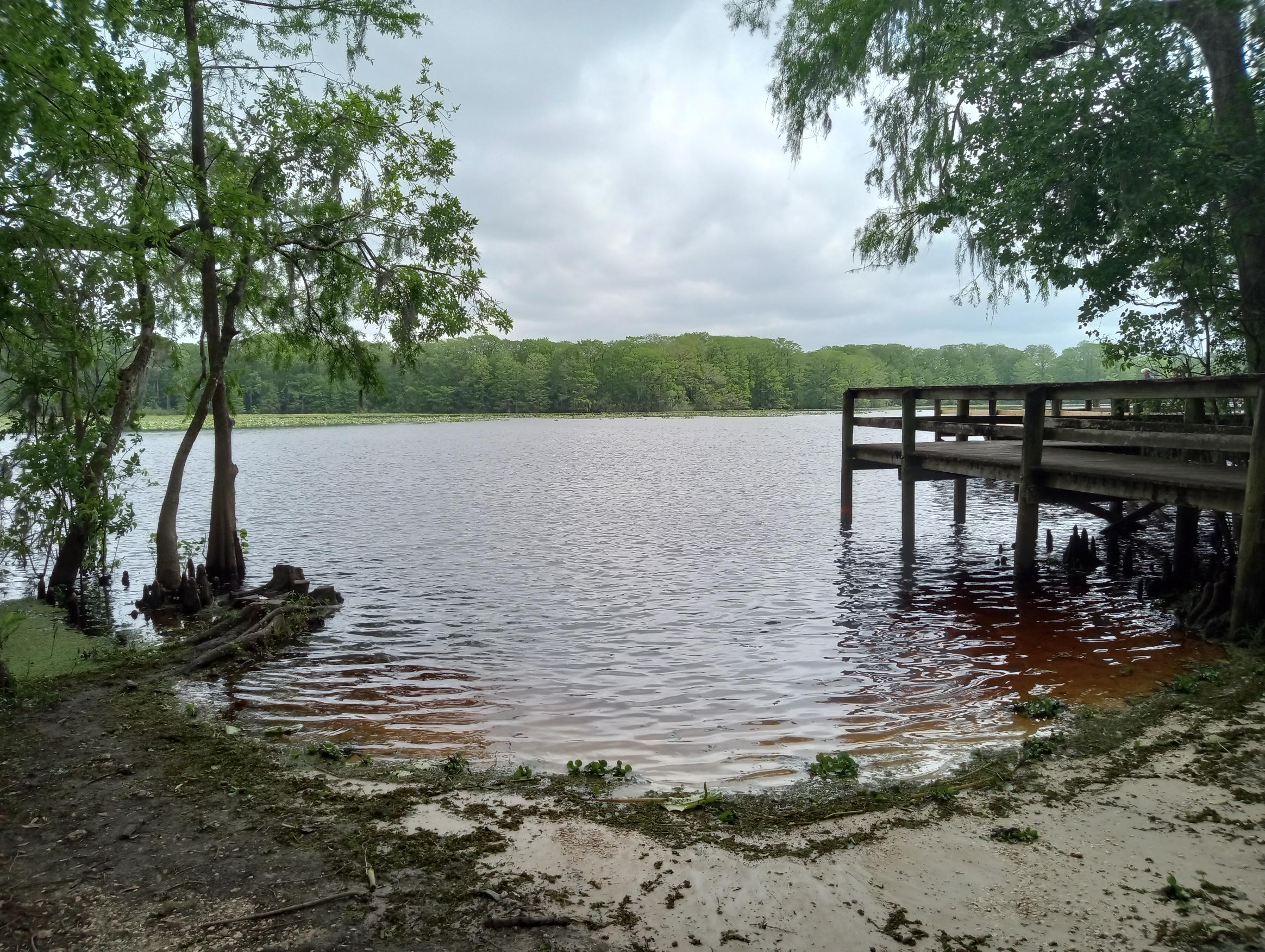 Let Us Rejoice in Rivers that Flow Through Us All - The National ...