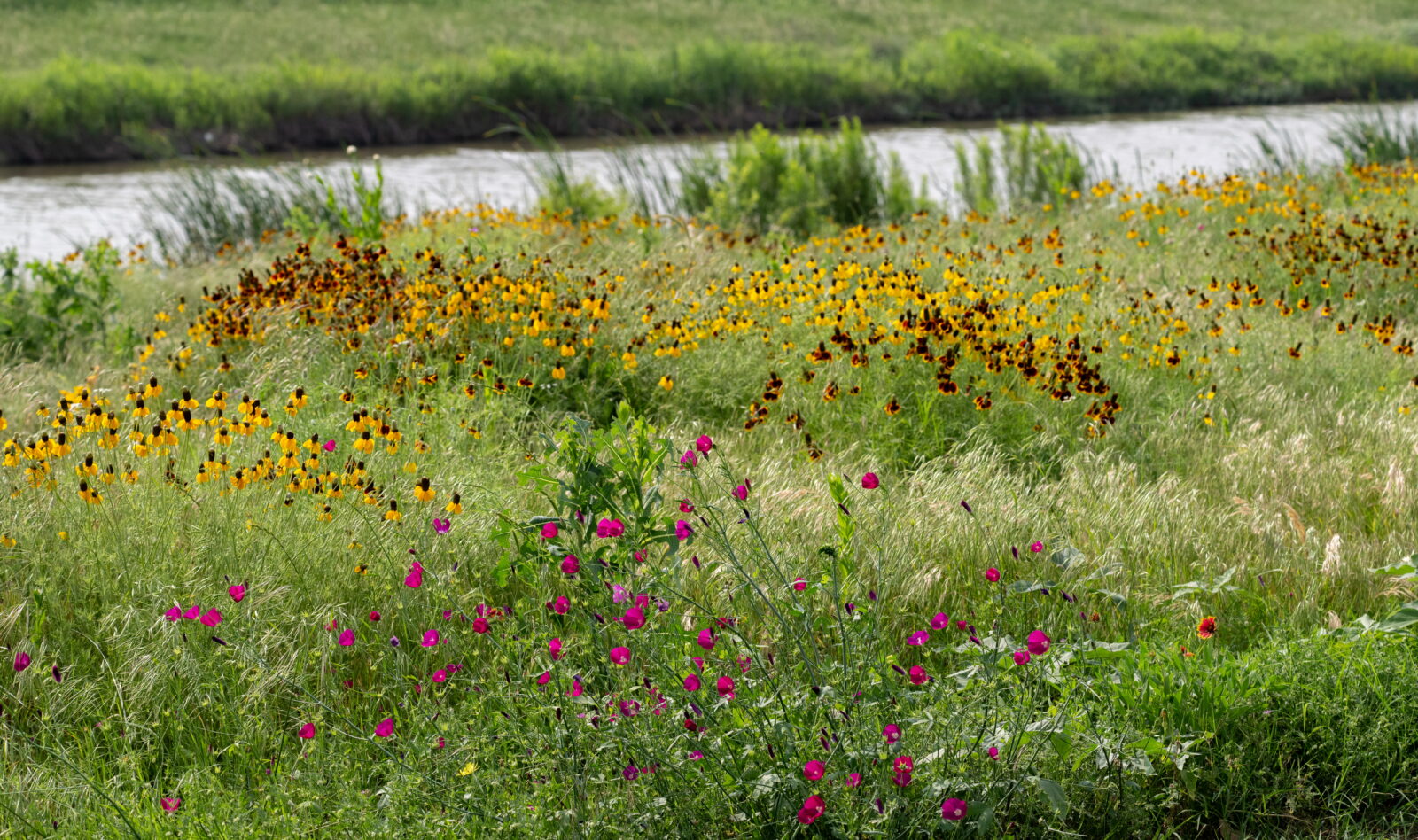 “Think Global, Act Local”: 3 Lessons Learned from our Community ...