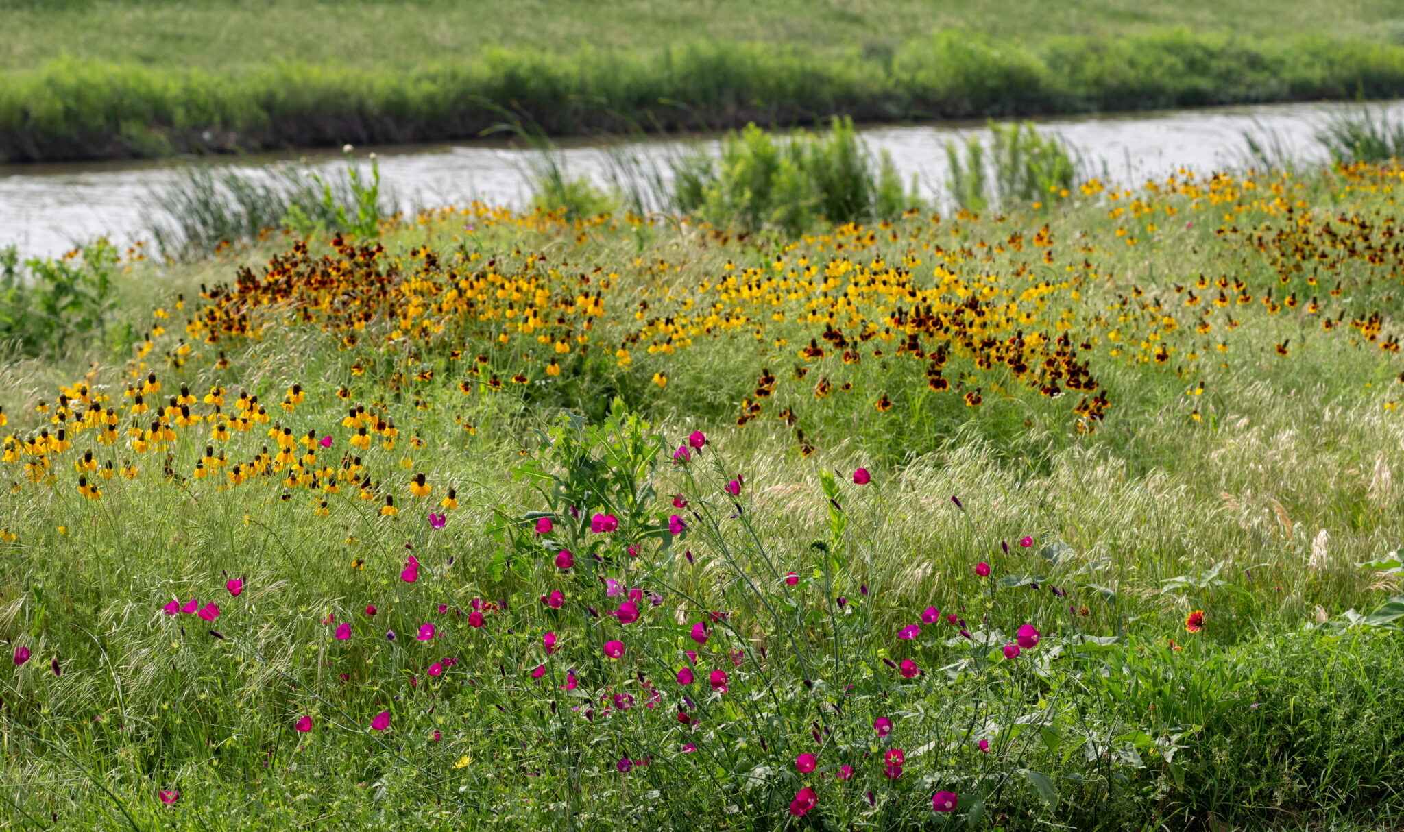 “Think Global, Act Local”: 3 Lessons Learned from our Community ...